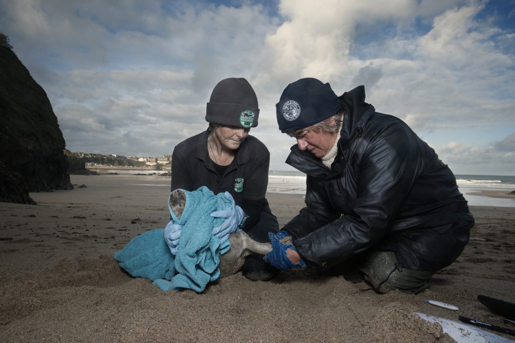 BDMLR Seal Hospital — Gavin Parsons